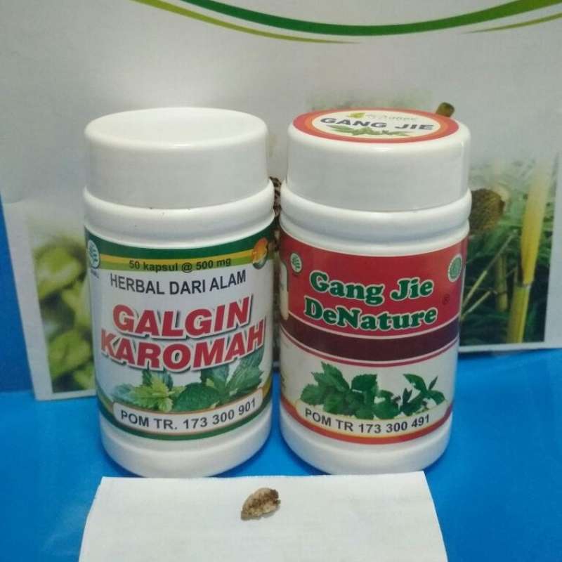 Jual Obat Batu Ginjal Kencing Batu Empedu Kandung Kemih Luruh Batu Ginjal Penghancur Kristal Di ...