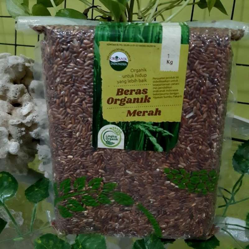 Jual Beras Merah Organik Lingkar Organik kemasan vacuum di Seller O ...
