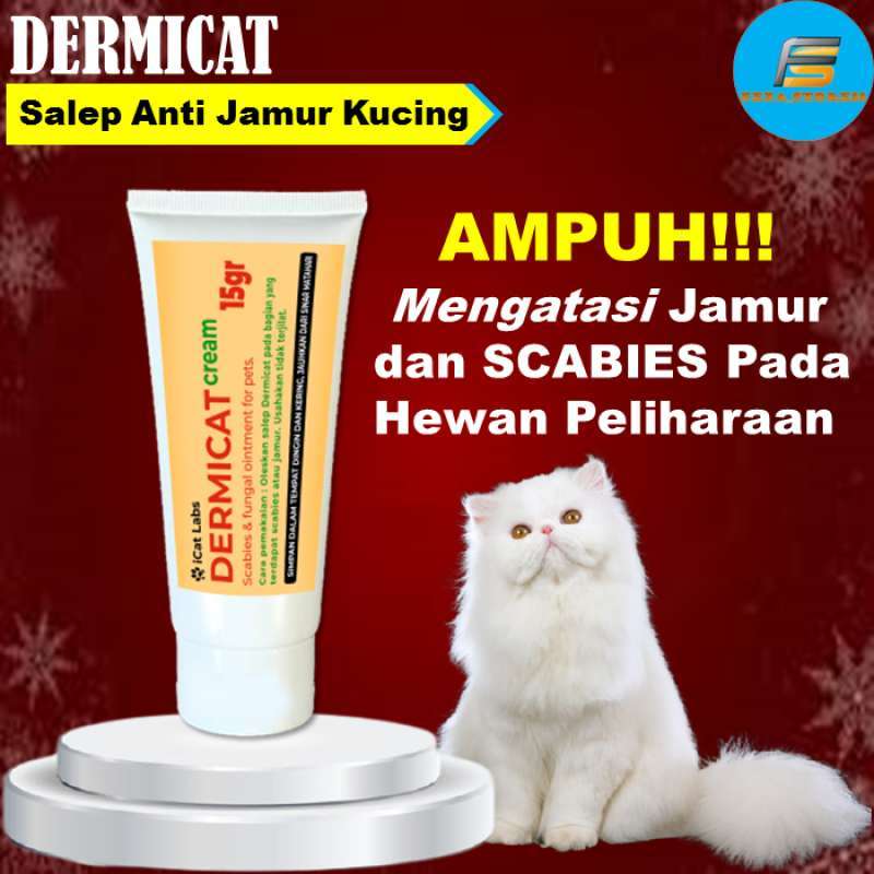 Jual Dermicat Cream Salep Anti Jamur Kucing Obat Jamur Scabies Kulit ...