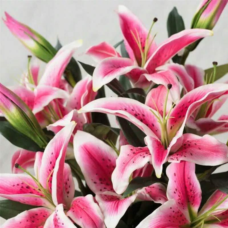 45+ Gambar Bunga Lily Ungu Super Keren - Informasi Seputar Tanaman Hias