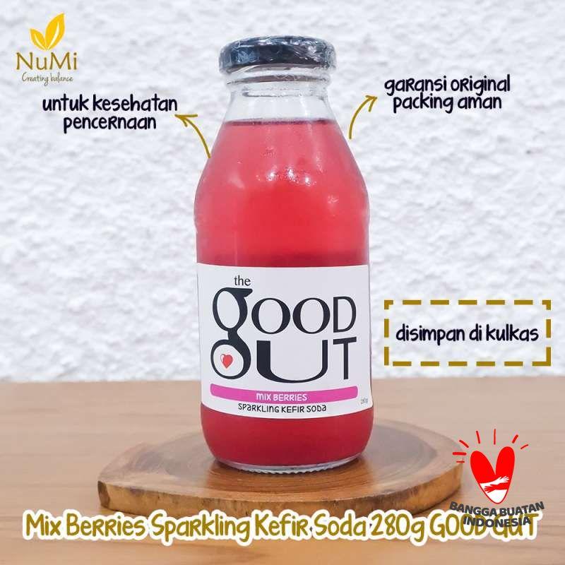 Jual MIXED BERRIES Water Kefir Minuman Fermentasi - The Good Gut di ...