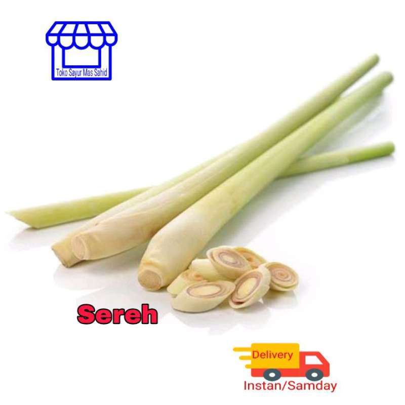 Jual Sereh Segar Batang Sereh 200 gram di Seller Toko Sayur Mas Sahid ...