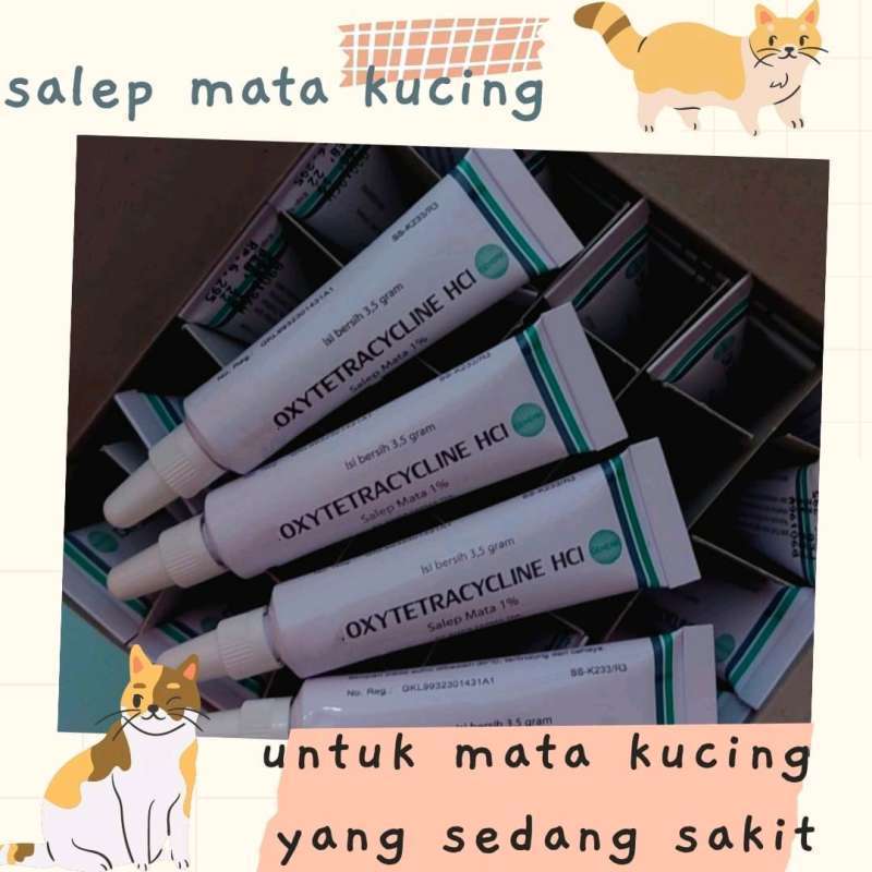 Jual Salep Mata Steril Obat Sakit Mata Kucing Hewan Peliharaan Isi 3,5 ...