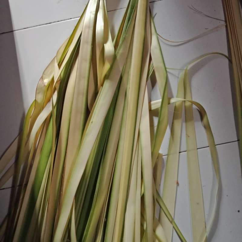 Jual JANUR KELAPA DAUN KELAPA UNTUK ANYAMAN KETUPAT di Seller Toko ...