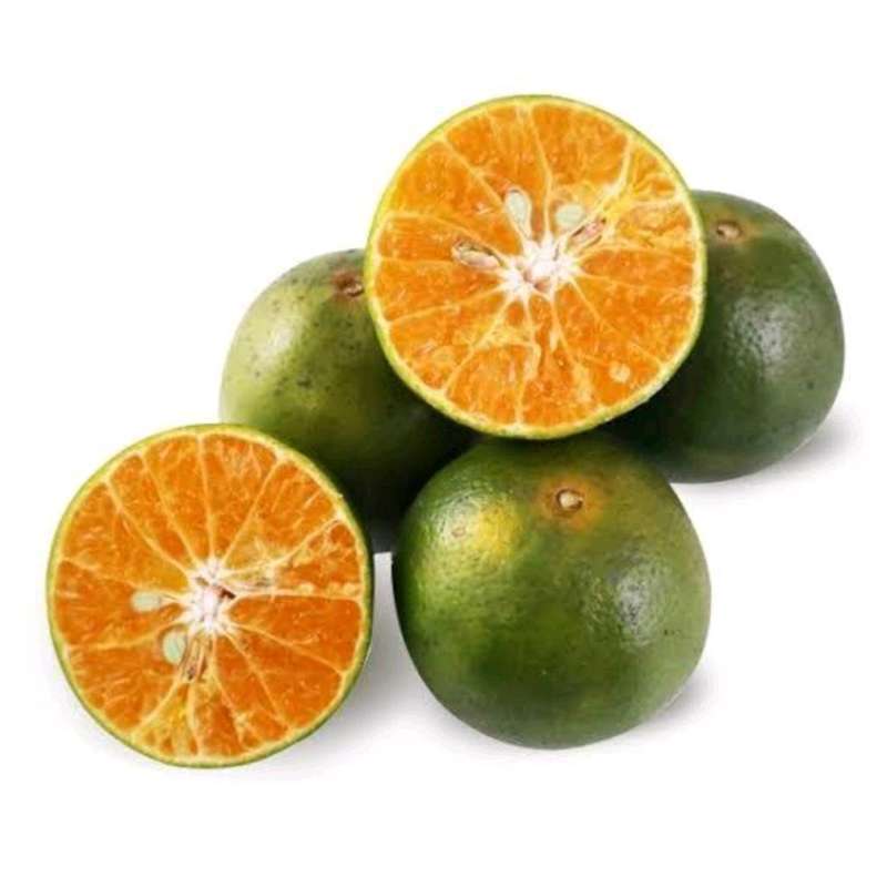 Jual Jeruk Pontianak Peras1 Kg Terdekat 🏷️ Harga Grosir Murah Terupdate ...