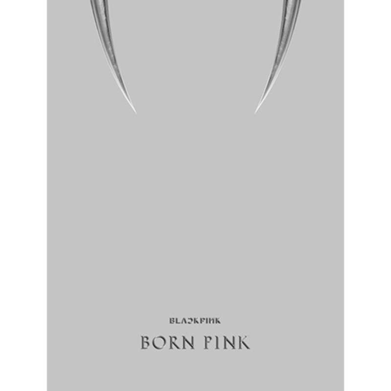 Jual [PO] BLACKPINK [BORN PINK] (BOX SET ver.) - GRAY Ver. di Seller ...