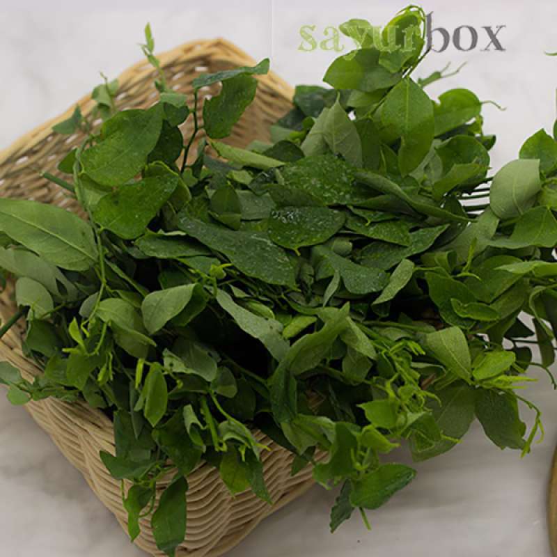 Jual Daun Katuk Konvensional 250 gram Sayurbox - JKT Halal di Seller ...