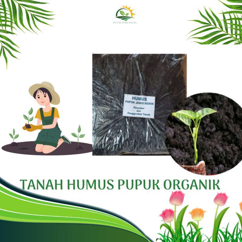 Humus Tanah