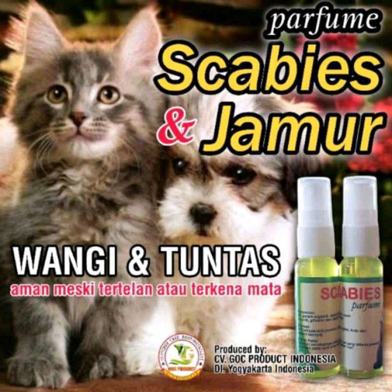 Jual Parfum Scabies dan jamur ( wangi dan tuntas ) di Seller Rambo ...