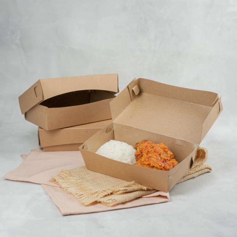 Jual DISKONNN CEPAT HABIS! KEMASAN LUNCH BOX ECO PAPER SZ M LAMINATED ...