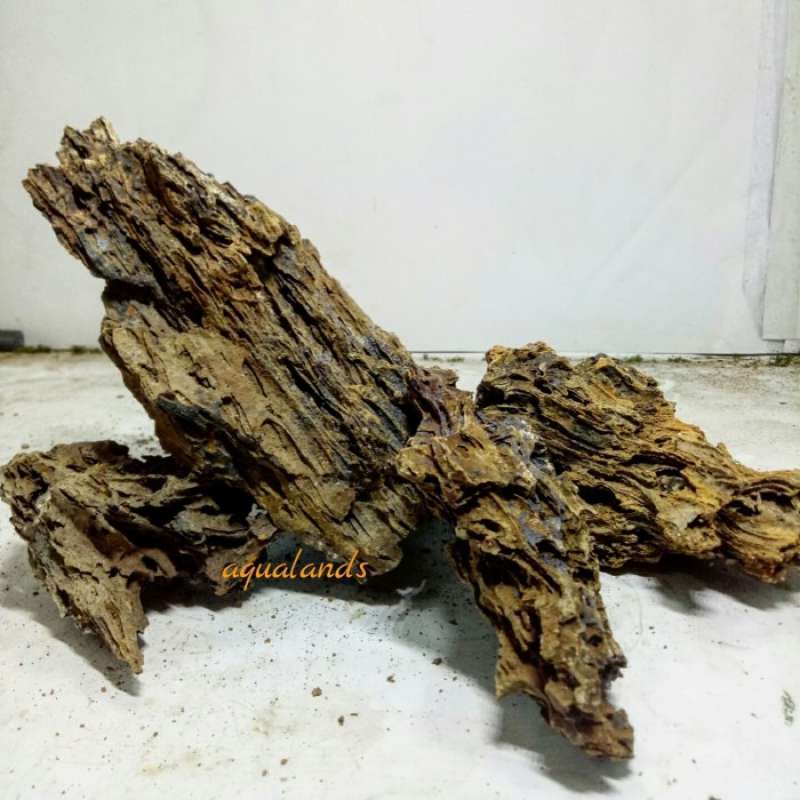 Aquarium Makin Cantik dengan 15 Rekomendasi Batu Aquascape Ini, loh! (2024)