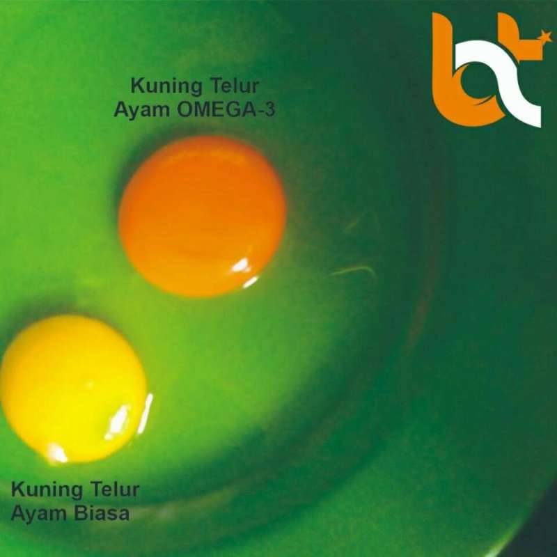 Jual Telur Ayam Omega 1 Kg Termurah - Harga Grosir Terupdate Hari Ini ...