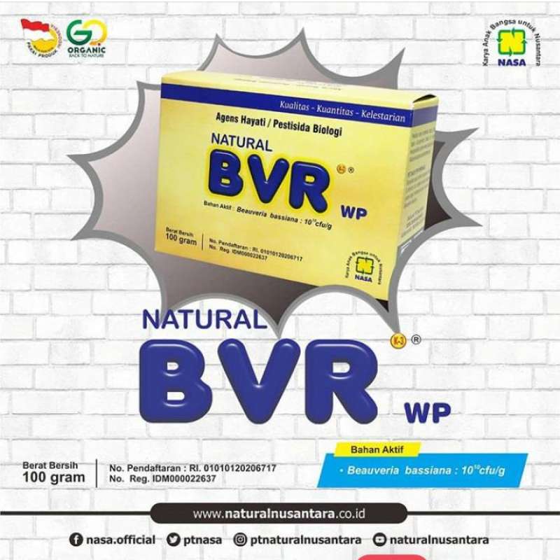 Jual BVR NASA BEUVERIA BASSIANA /PEMBASMI HAMA / PENGENDALI HAMA TANAMAN di Seller ...