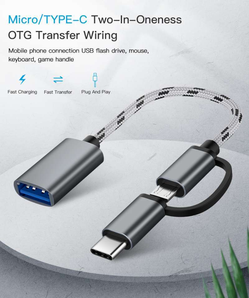 Jual OTG 2 IN 1 USB 3.0 Micro Type C Fast Transfer OTG Flash Disk Mouse ...