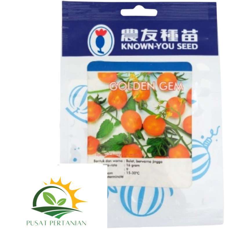 Jual TOMAT MINI GOLDEN GEM 5 GRAM PACK BESAR benih biji tomat cherry ...
