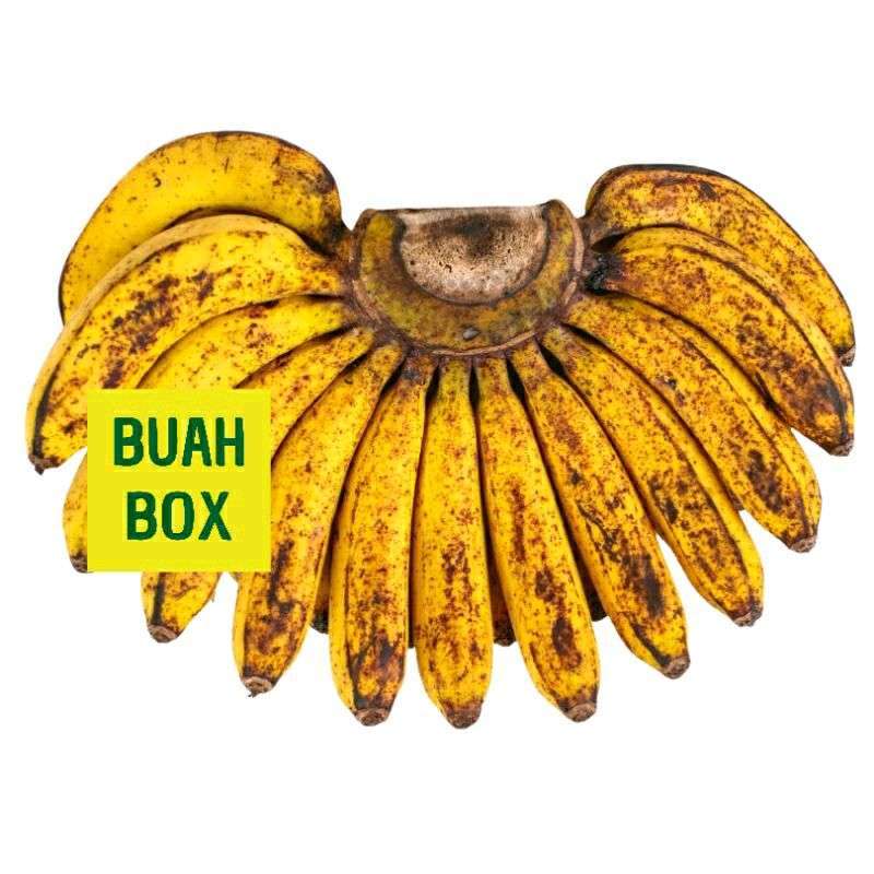 Jual Buah Pisan Barangan Medan Besar Manis Premium Super Berkualitas ...