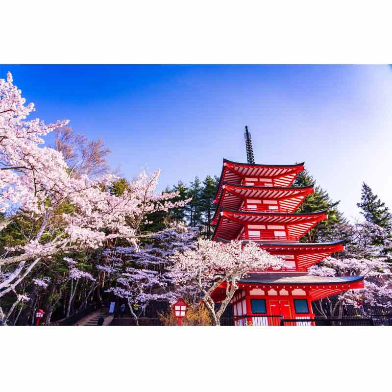 Jual Indo Sentosa Tour Customized Travel Package Paket Wisata ...