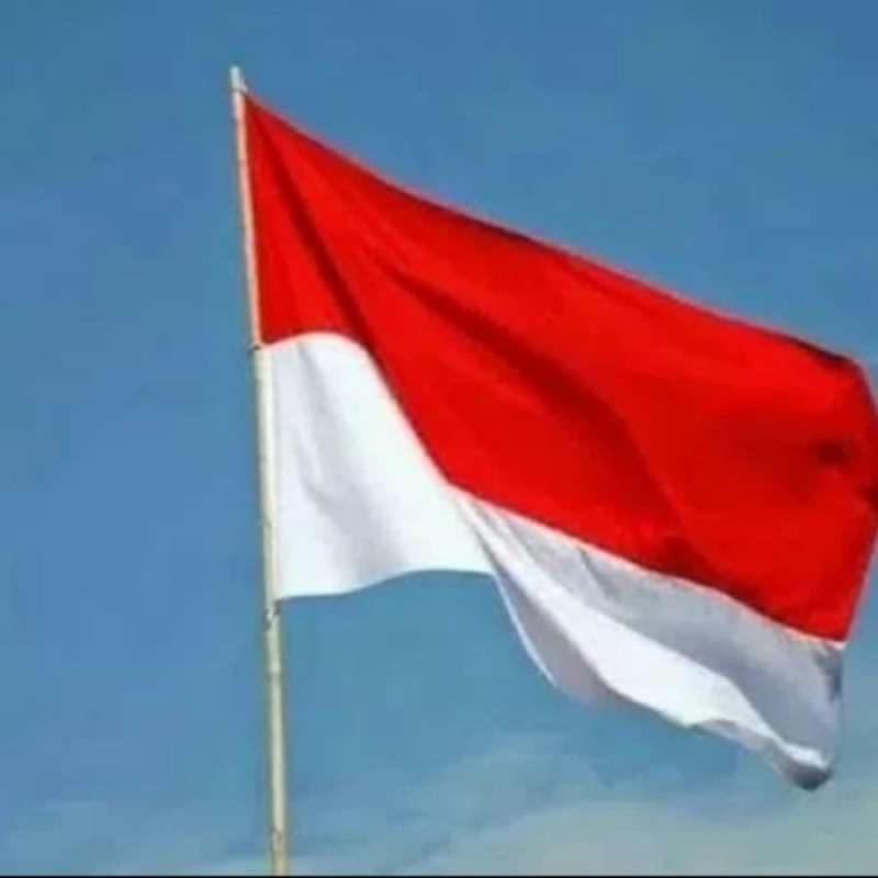 Jual Bendera satin 120 x 180 model cantelan besi di Seller Crystal ...