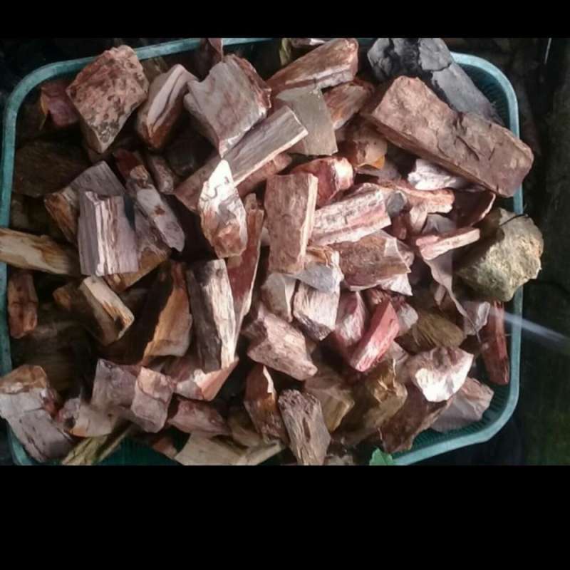 Jual batu fosil kayu aquascape di Seller gello shrimp - Gelam Jaya, Kab ...