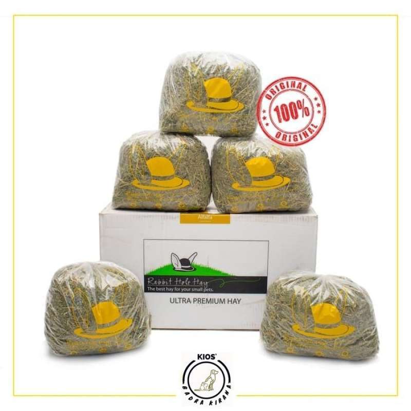 Promo HLO46 - Makanan kelinci marmut ALFALFA no timothy rumput 1KG ...