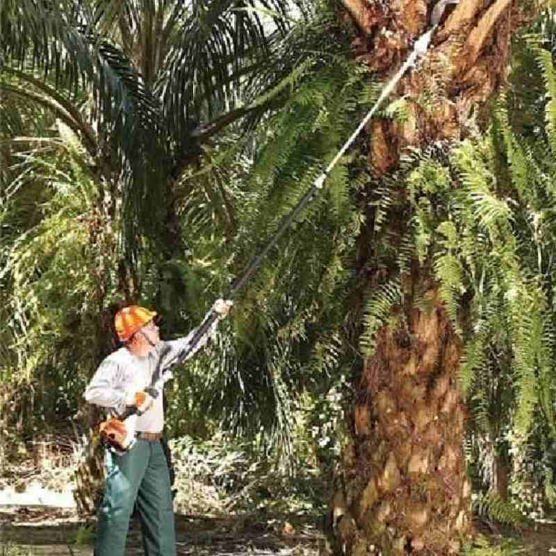 Jual Mesin Potong Sawit Palm Cutter Pc-70 Chisel Dodos Stihl Original ...