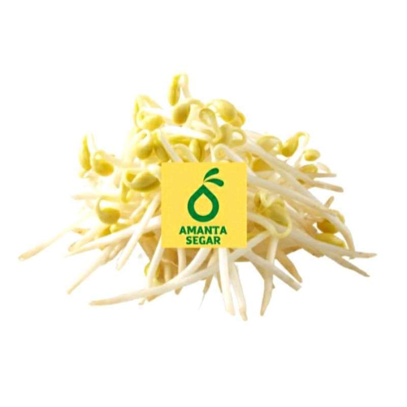 Jual Sayuran Sayur Toge / Tauge Segar 250 gr - Sayur Segar dan Fresh ...