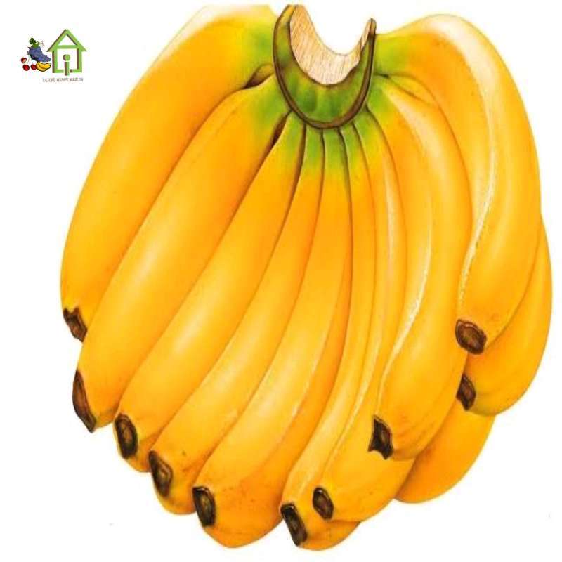 Jual BUAH PISANG AMBON PUTIH BUAH SEGAR FRESH FRUIT FREMIUM 1KG [ 5-7 ...
