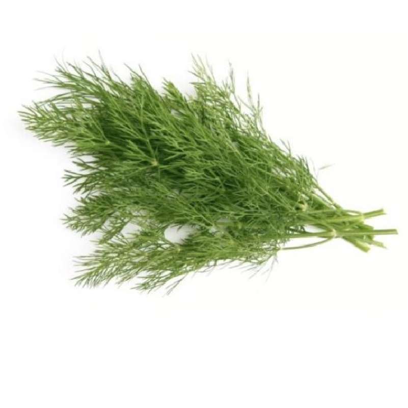 Jual Daun Dill Kering 250gr Daun Adas Sowa Daun Adas Manis di Seller ...