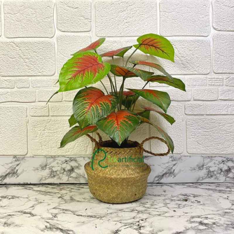 Promo Pohon Daun Bahagia Merah X18 Artificial Cover Pot Purun Belly ...