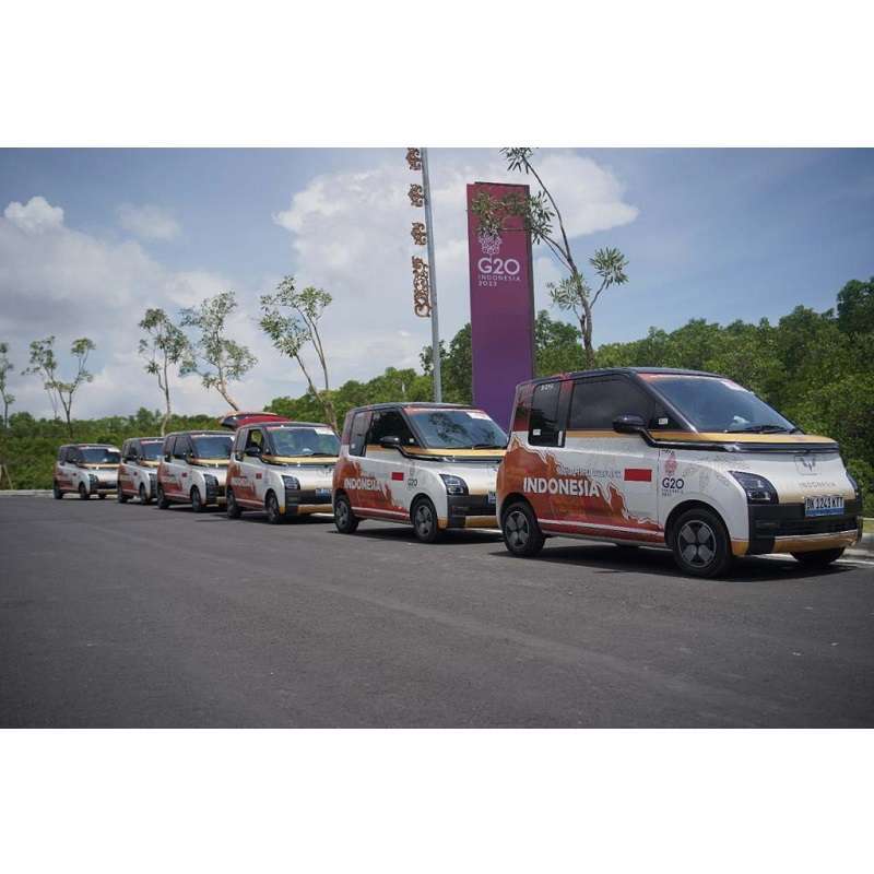 Jual Wuling Air Ev Long Range Ex Ktt G20 Bali Mobil - Peach Pink ...