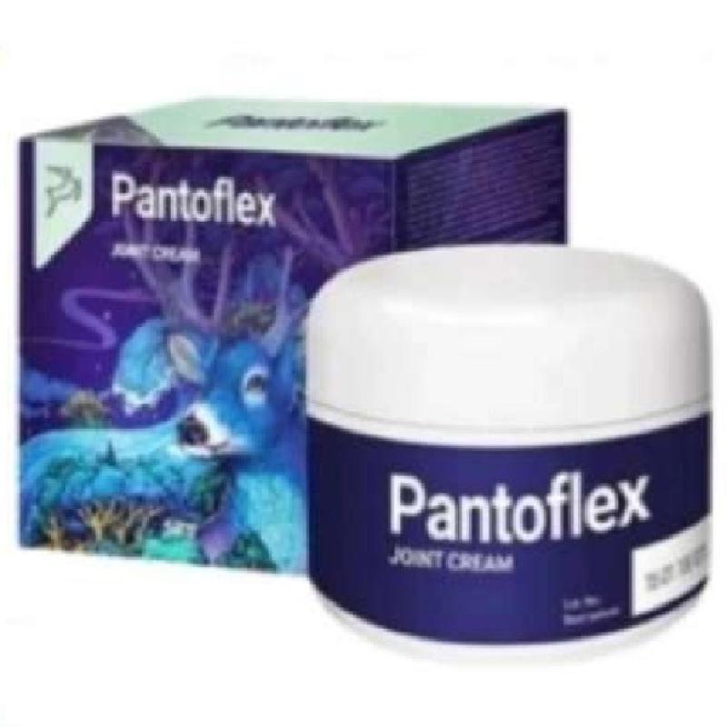 Promo Pantoflex Asli Original Obat Salep Oles Atasi Nyeri Sendi Otot ...