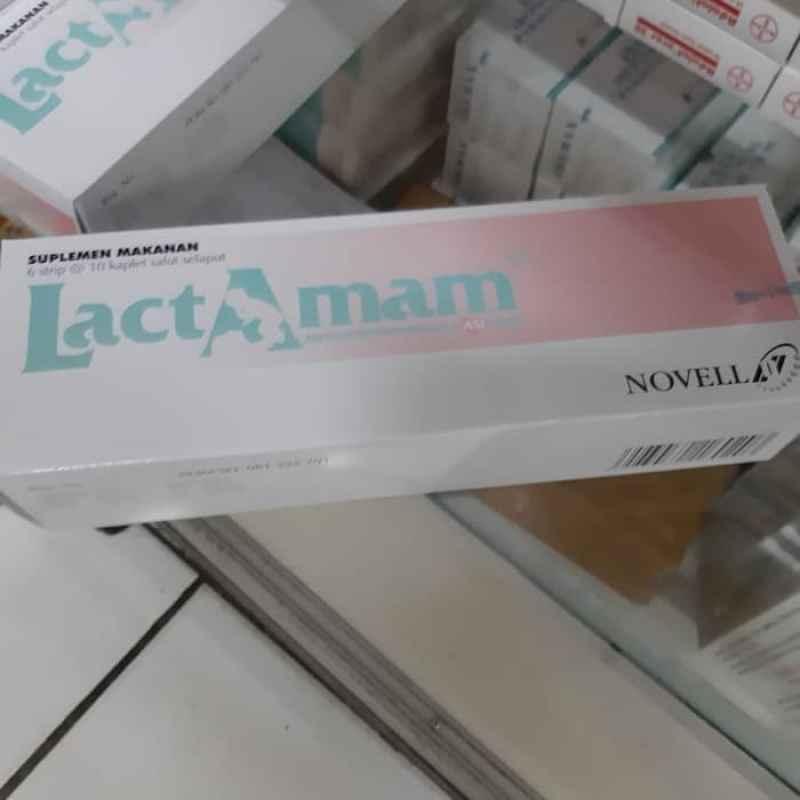 Jual Novell Lactamam Obat Resep Dokter [6 Strip/ Kemasan Bok] di Seller ...