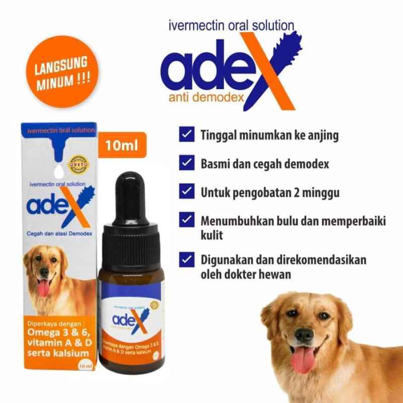 Jual Obat demodex demodek kudis gudikan botak pada anjing sirup adex 10 ml di Seller Petshop ...
