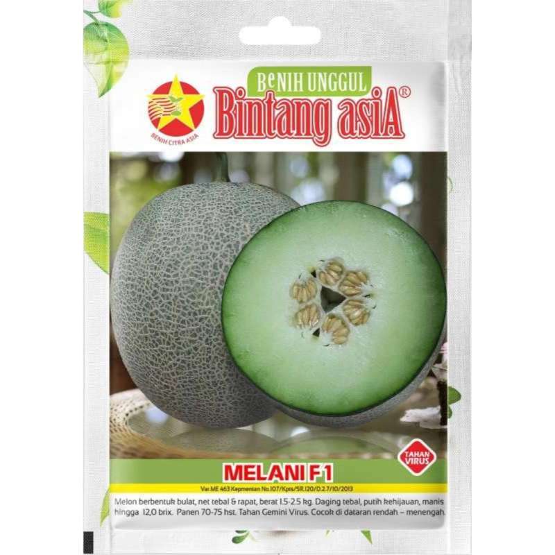 Jual Melon Bintang Asia Original Murah - Harga Diskon Juni 2024 ...