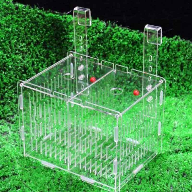 Promo Plastic Aquarium Hatchery Trap Fish Breeding Box Tank Breeder ...