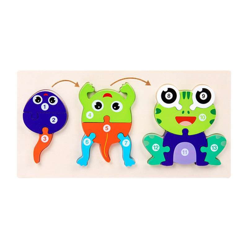 Promo Life Cycle of Animla Puzzle Motor Skill Early Educational for ...