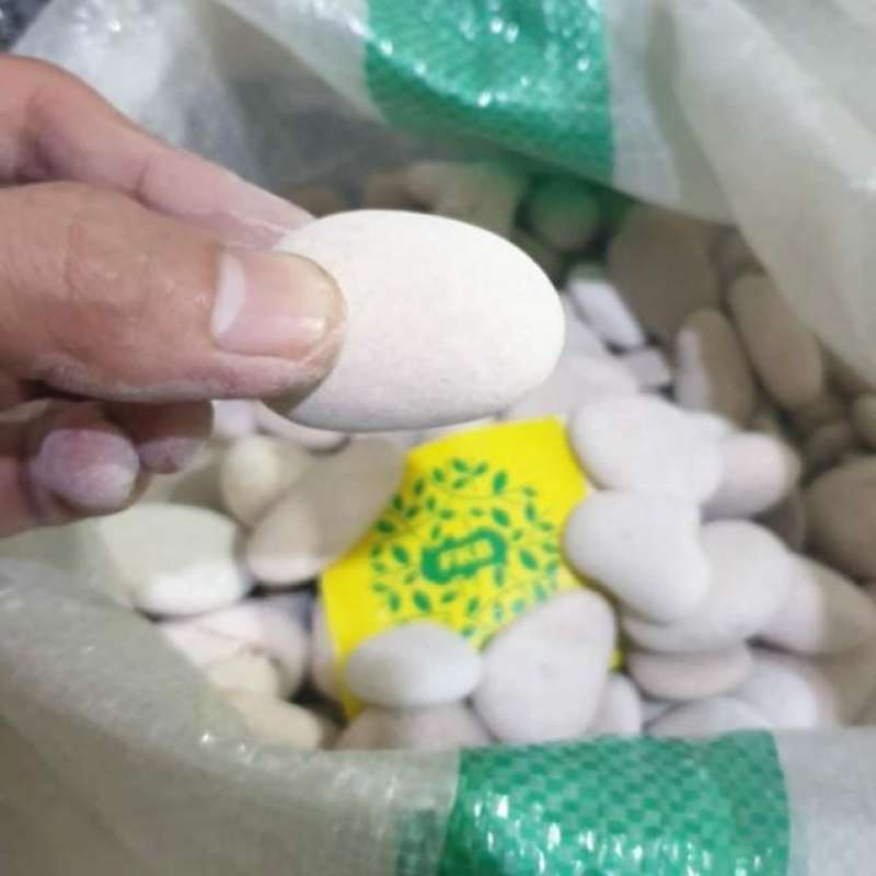 Jual BATU KORAL PUTIH/BATU UNTUK MEDIA ATAS TANAMAN di Seller Perdians ...