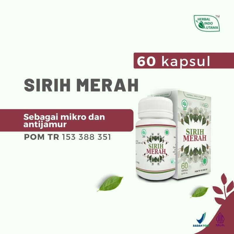Jual Herbal Indo Utama - Kapsul Sirih Merah Obat Radang Sendi Prostat ...