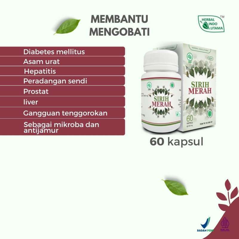 Jual Herbal Indo Utama - Kapsul Sirih Merah Obat Radang Sendi Prostat ...