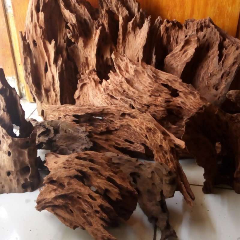 Promo Kayu Rentek Hiasan Aquarium Diskon 33% di Seller Ken Storee ...
