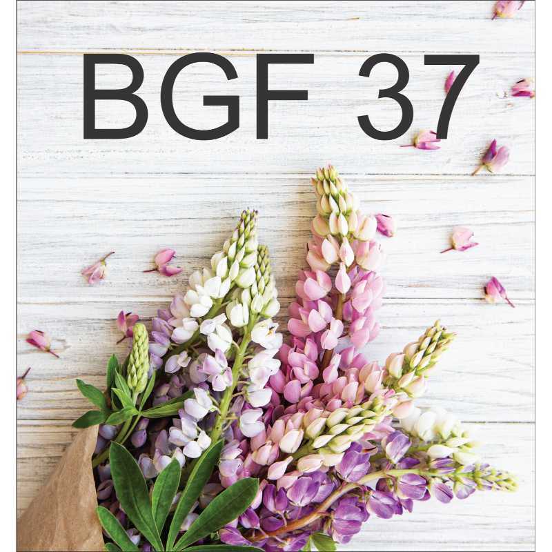 Jual Background Foto A3+ Tema Bunga Part 4 Di Seller Bahbah Print ...