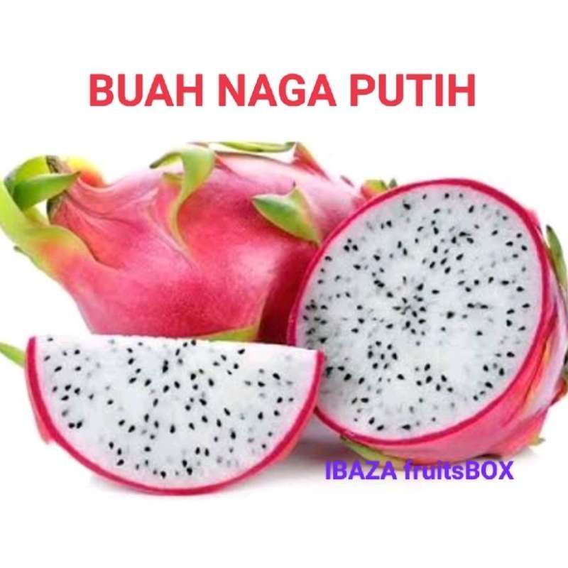 Promo Buah Naga Putih Halal Diskon 3% di Seller IBAZA fruitsBOX ...