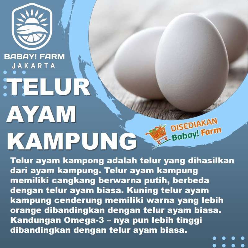 Jual Telur Ayam Kampung Non Omega 3 Halal Di Seller Babay! Farm Jakarta ...