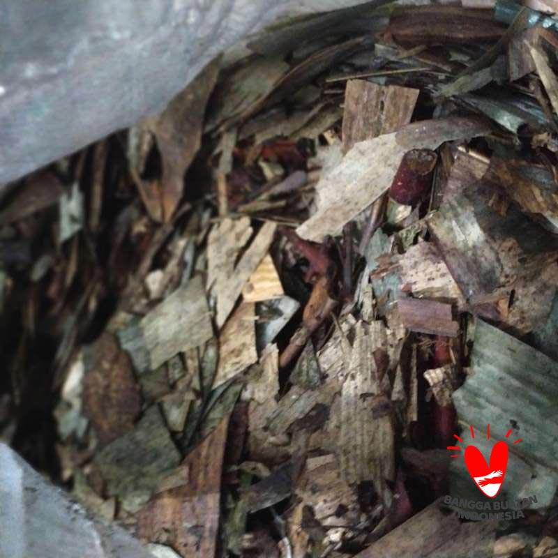 Jual Daun Bambu Kering Media Tanam di Seller selviashop - Girimulya ...