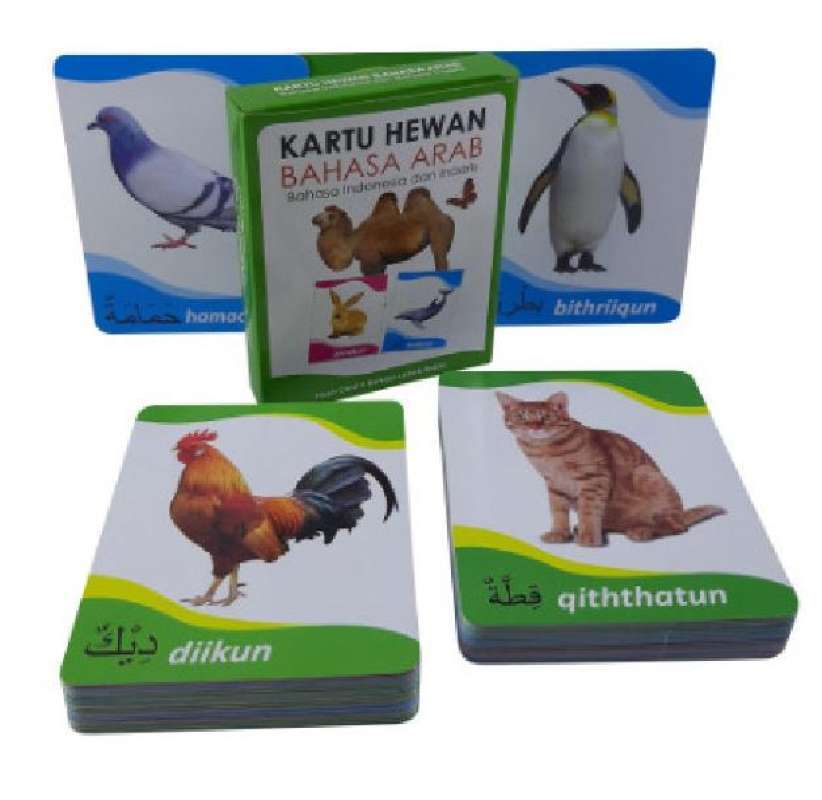 Jual Flash Card / Kartu Pintar Anak Hewan Buah Alfabet Balita Lengkap ...