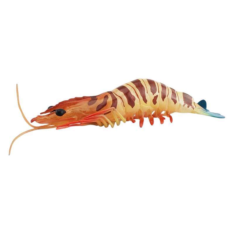 Jual 2 Realistic Marine Prawn Creatures Toy Figures Cognitive Early ...