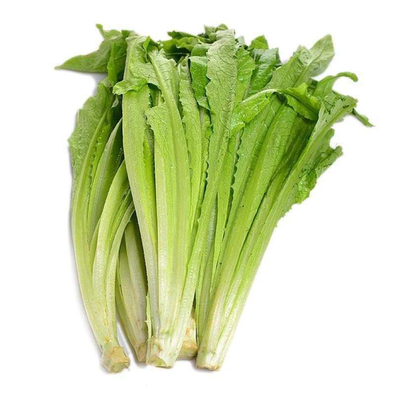 Jual Fumak 250 gr - Makmur Abadi Sayuran Halal di Seller Makmur Abadi ...