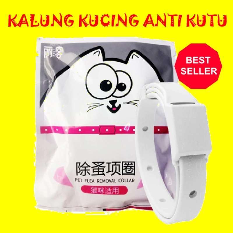 Jual Cattyman Kalung Kucing Reflex Biru Original ACE - kalung untuk ...
