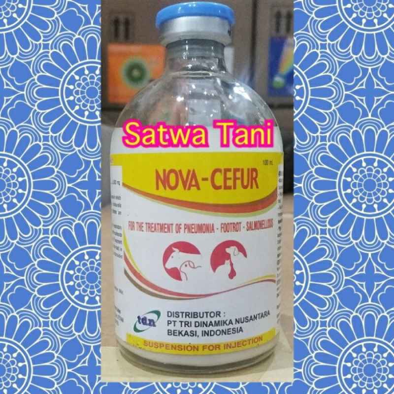 Jual Susu Nova Original Harga Termurah Mei 2024 | Blibli