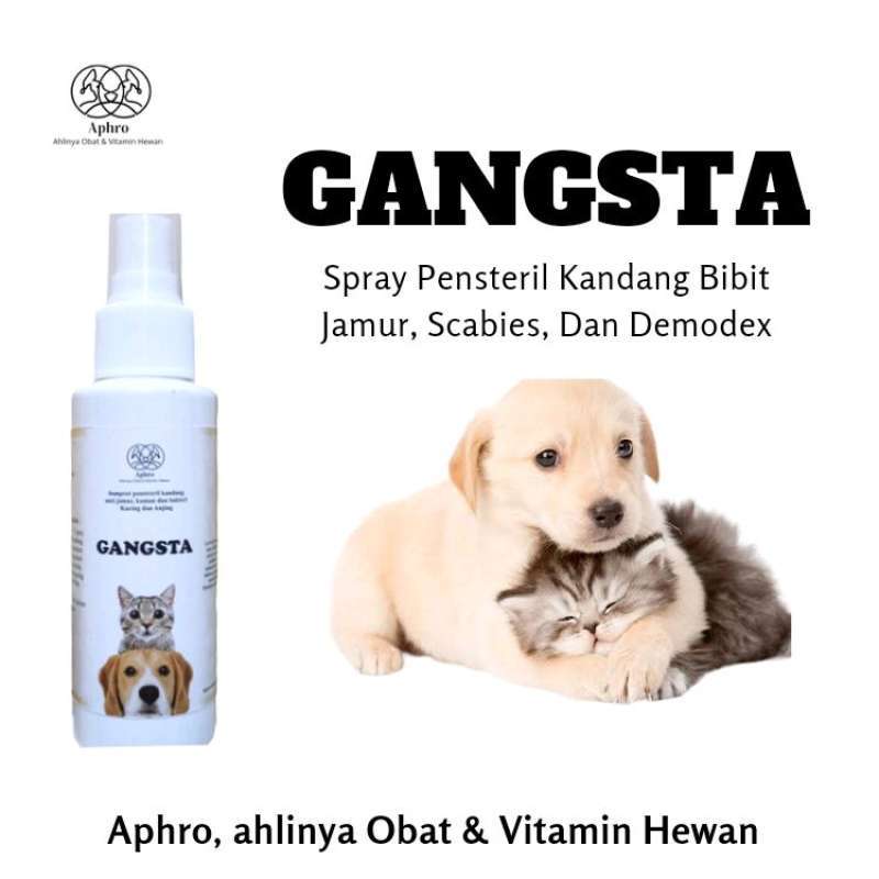 Promo GANGSTA SEMPROTAN PENSTERIL KANDANG ANTI JAMUR SCABIES DEMODEX ...